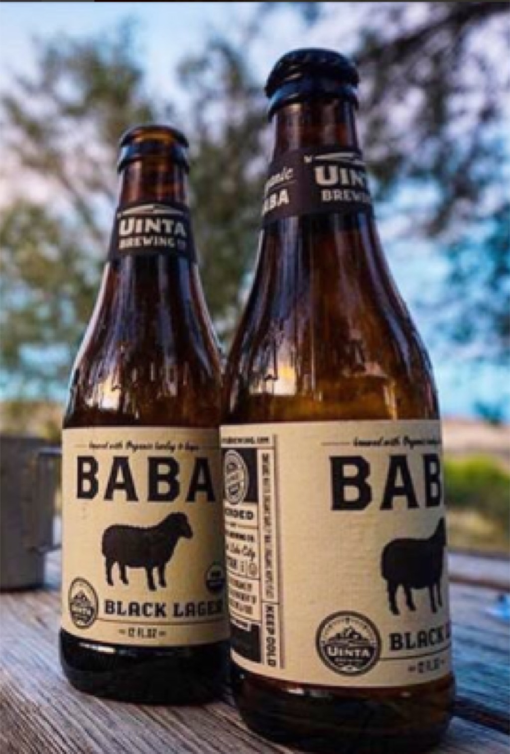 The 30 Best Post-Workout Beers—Ranked — Best Life