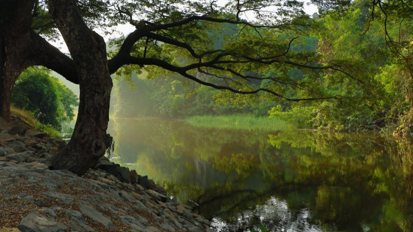 50 Facts About Nature's Wonders That Will Take Your Breath Away — Best Life