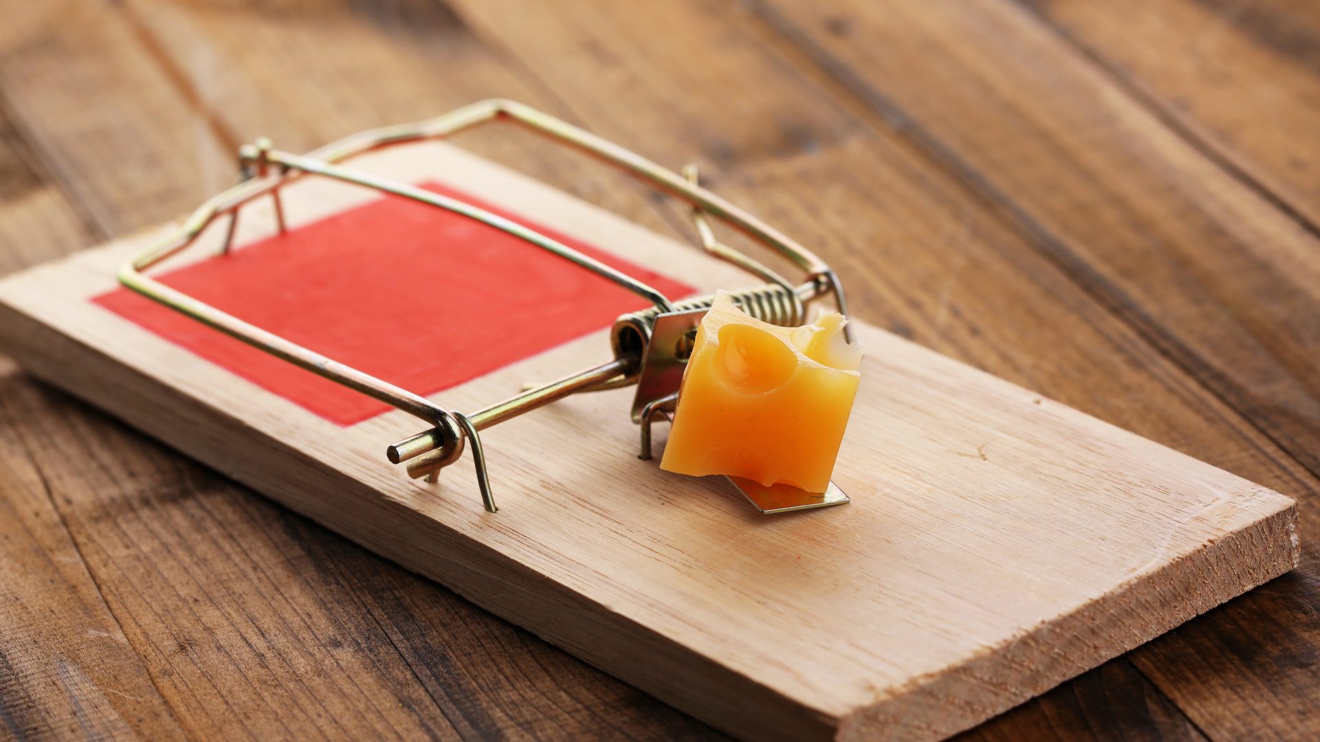 25 Genius Hacks for Mouse-Proofing Your Home