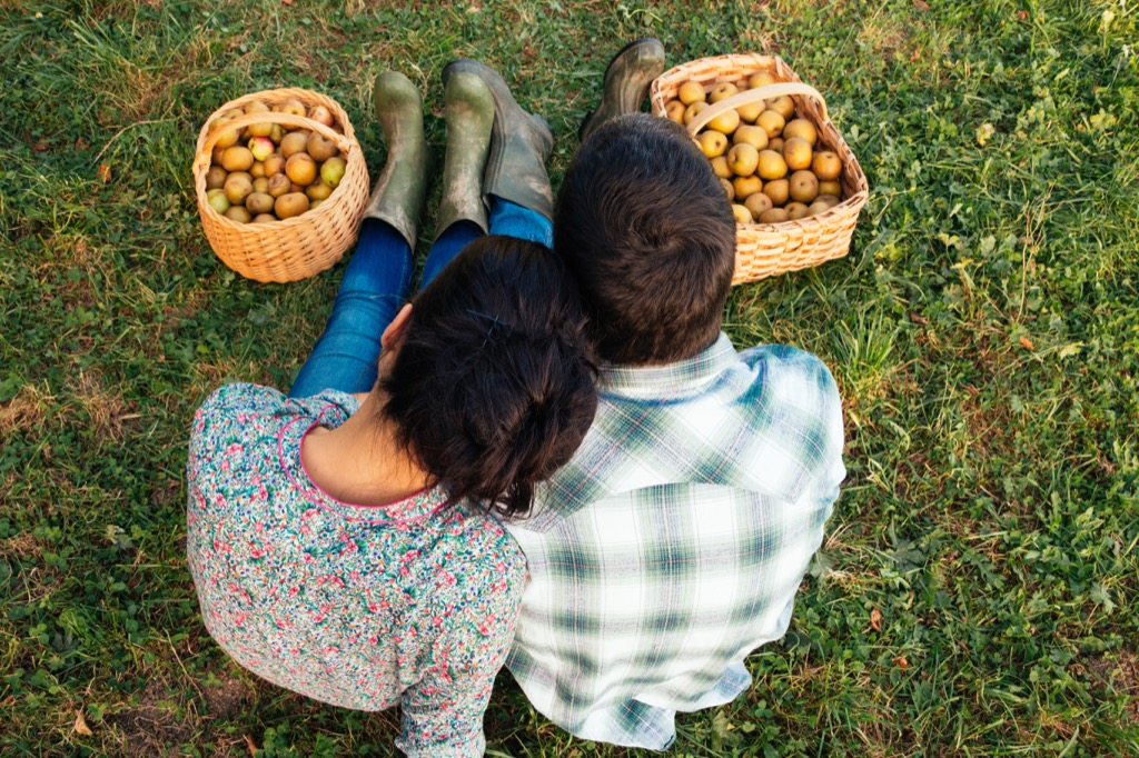 30 Cute Apple Picking Instagram Captions for Fall - Apple Picking Quotes