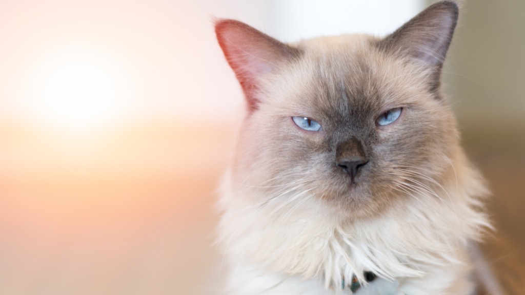 40 Random Obscure Facts to Make You Sound Like a Genius — Best Life