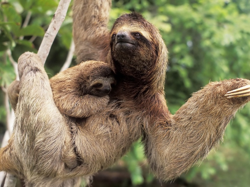 50 Facts About Nature's Wonders That Will Take Your Breath Away — Best Life