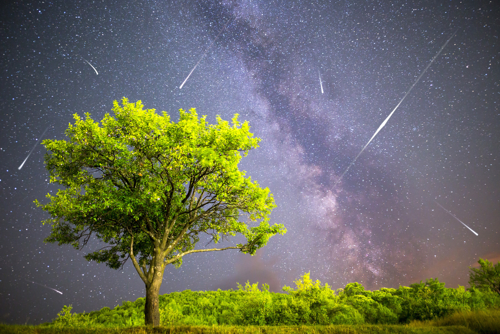 40 Amazing Coincidences You Won't Believe Actually Happened — Best Life