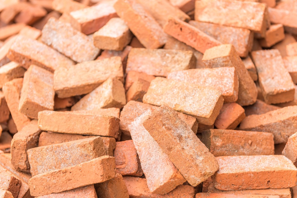 25 Genius Hacks for Mouse-Proofing Your Home