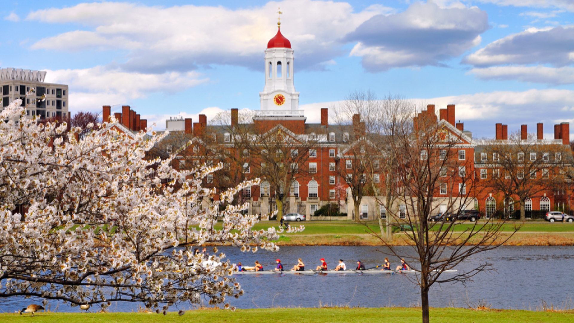 10 Oldest Universities in America — Best Life