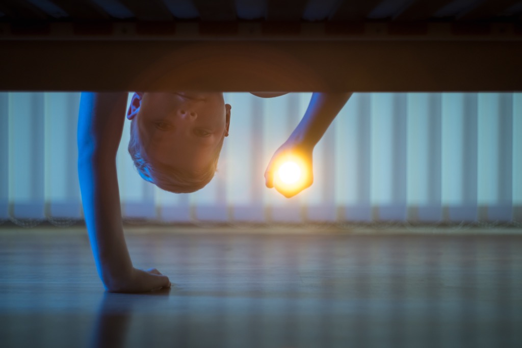 25 Genius Hacks for Mouse-Proofing Your Home