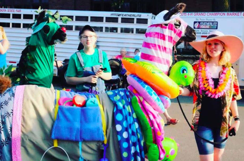 40 Crazy Facts About Summer Fairs