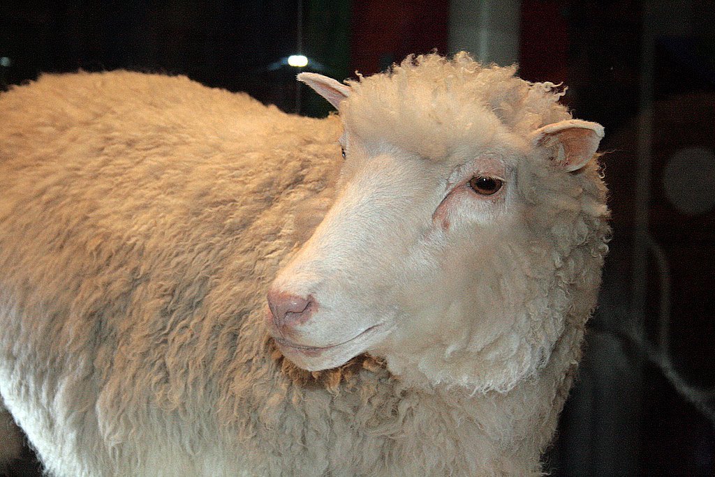 30 Craziest Emotional Support Animals People Really Have — Best Life