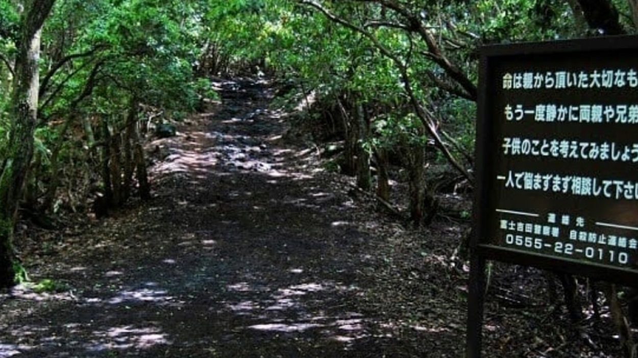 Japan's Suicide Forest: 33 Creepy Facts about Aokigahara | Best Life