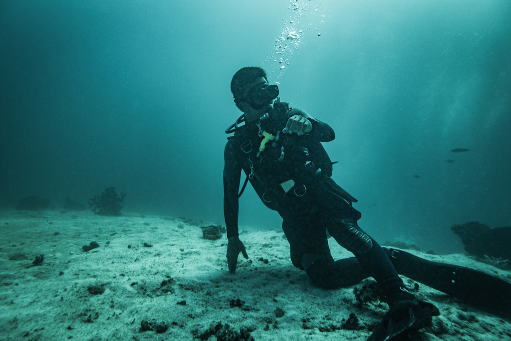 30 Reasons Why the Ocean Is Scarier Than Space