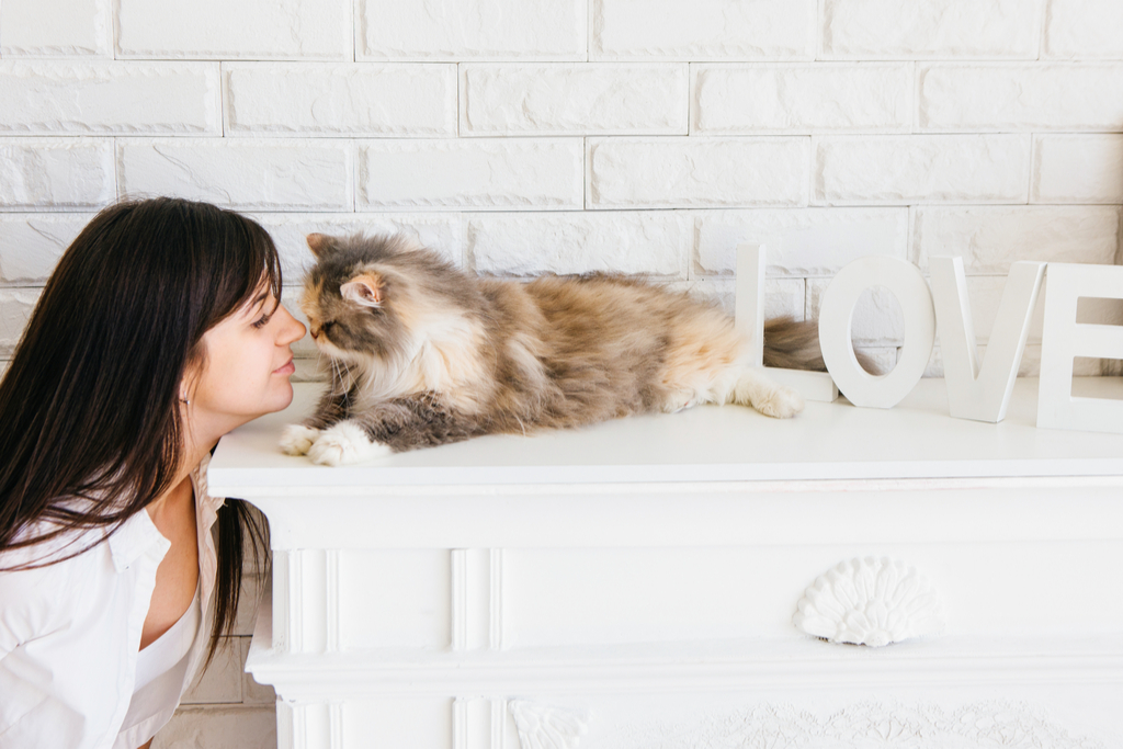 30 Surprising Ways Your Cat Communicates With You — Best Life