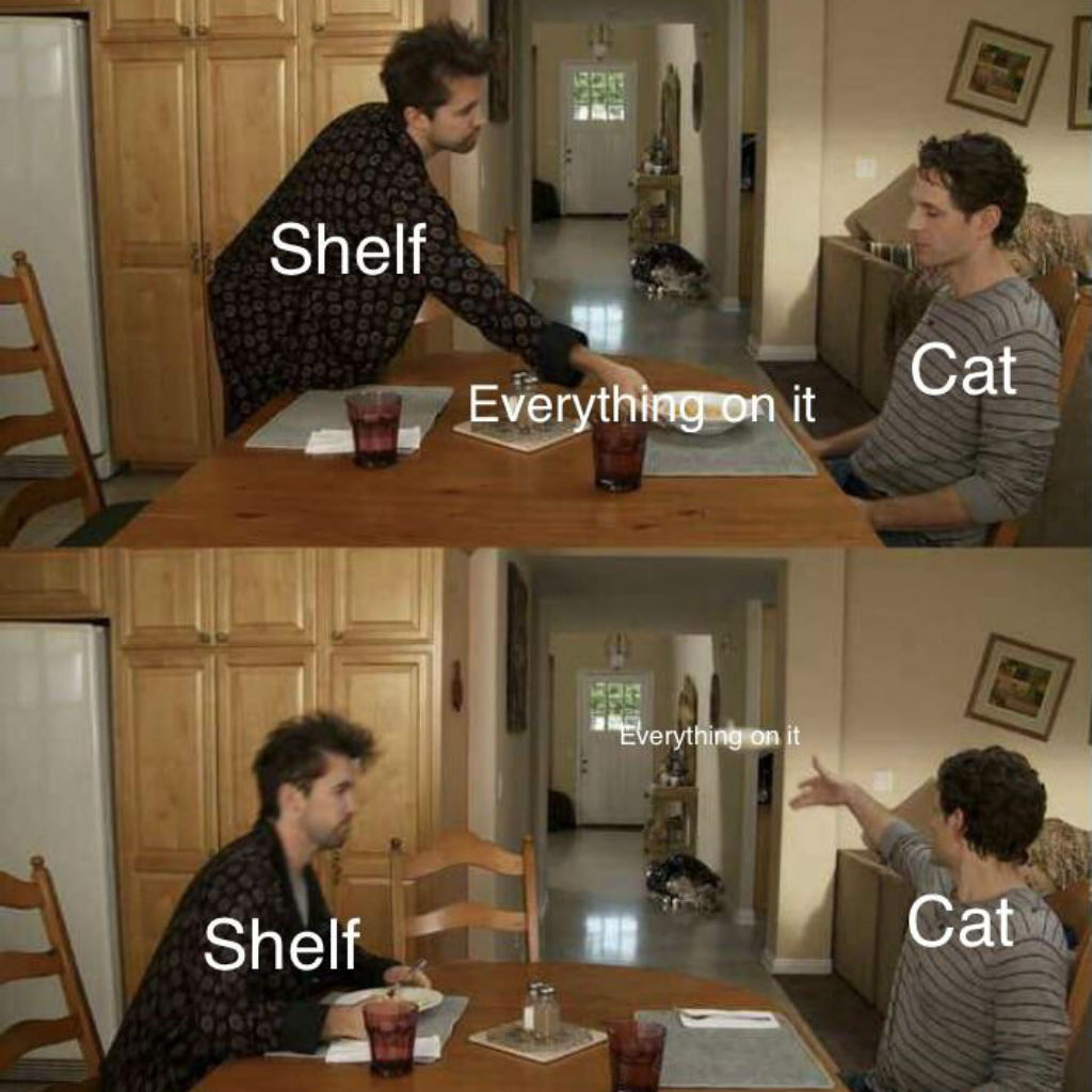 100 Funniest Cat Memes Ever (Especially if You Love Cats)