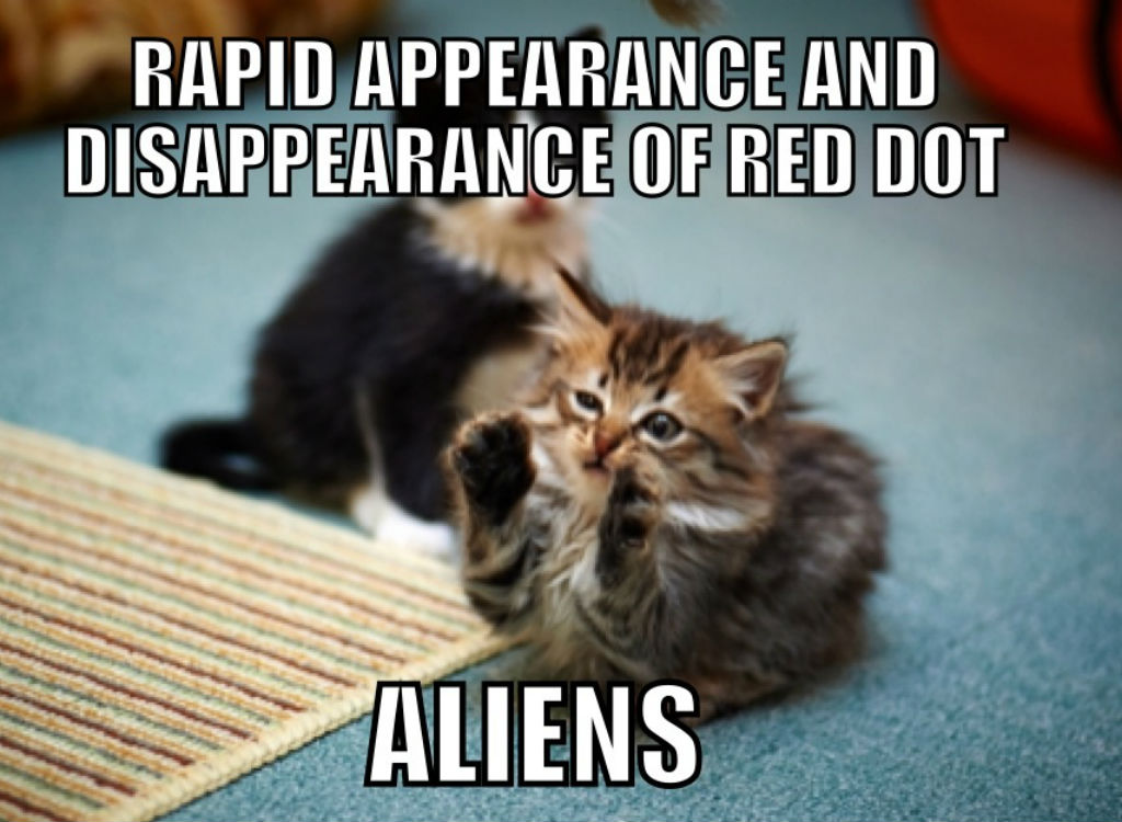 100 Funniest Cat Memes Ever (Especially if You Love Cats)