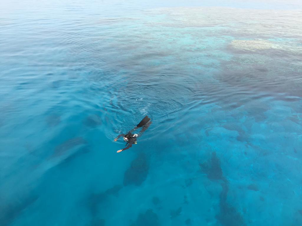 30 Reasons Why the Ocean Is Scarier Than Space