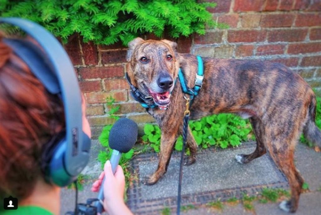 25 Photos Proving Dogs Are the Best Co-Workers — Best Life
