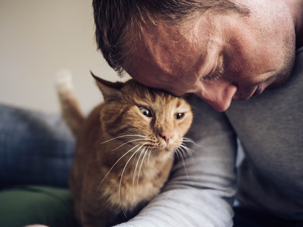 14 Surprising Ways Your Cat Shows Affection — Best Life