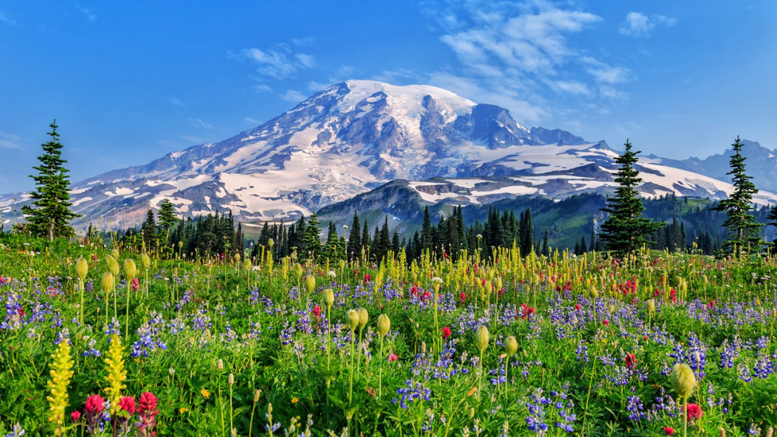 62 Incredible National Park Facts That Will Blow Your Mind — Best Life