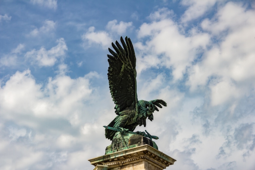 The 20 Strangest National Animals