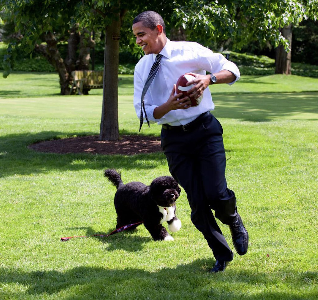 20 Pets Who Lived in the White House — Best Life