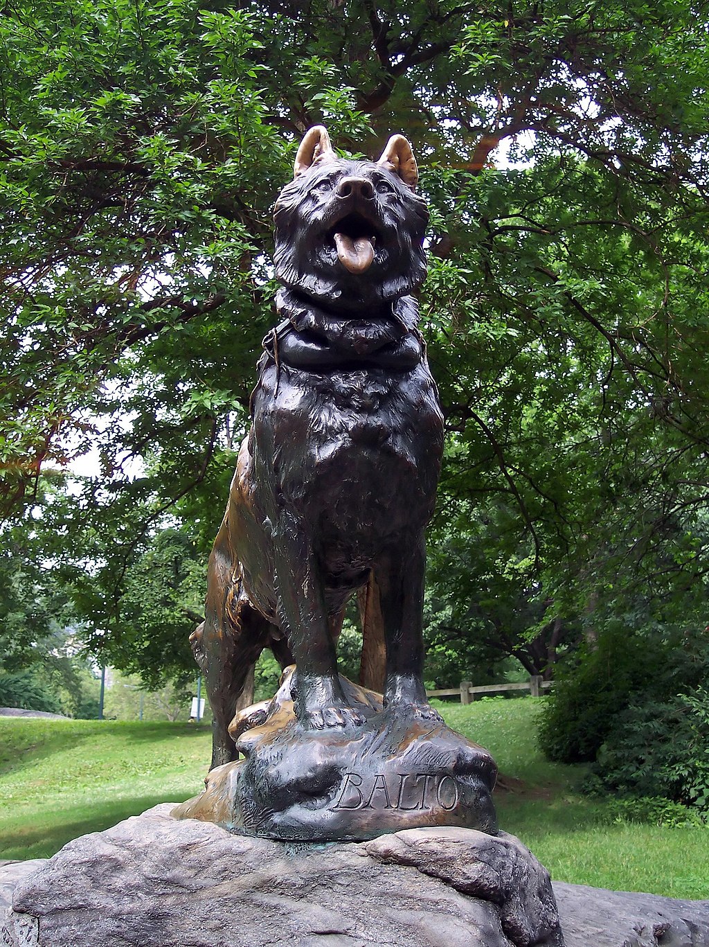 30 Most Important Dogs in American History — Best Life