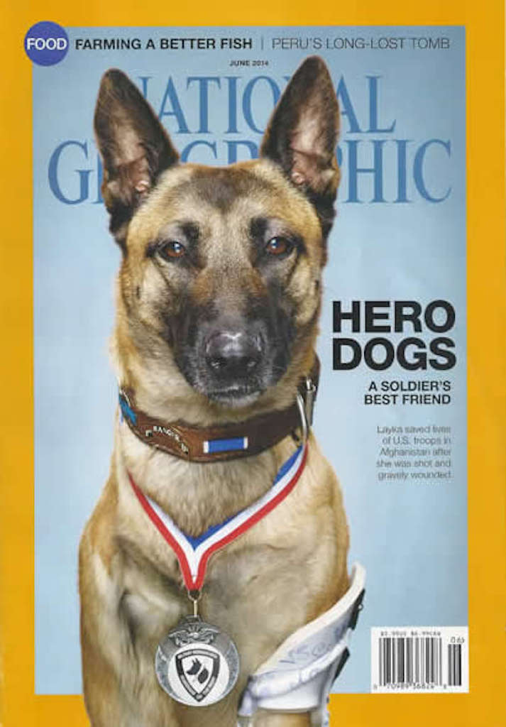 30 Most Important Dogs in American History — Best Life