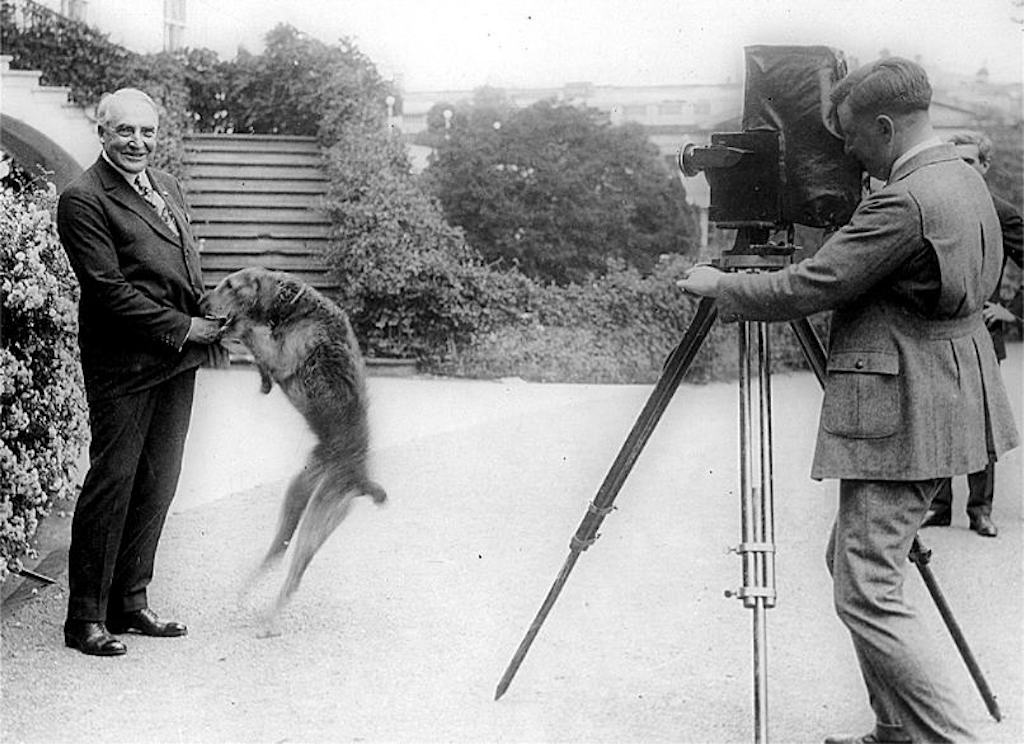 30 Most Important Dogs in American History — Best Life
