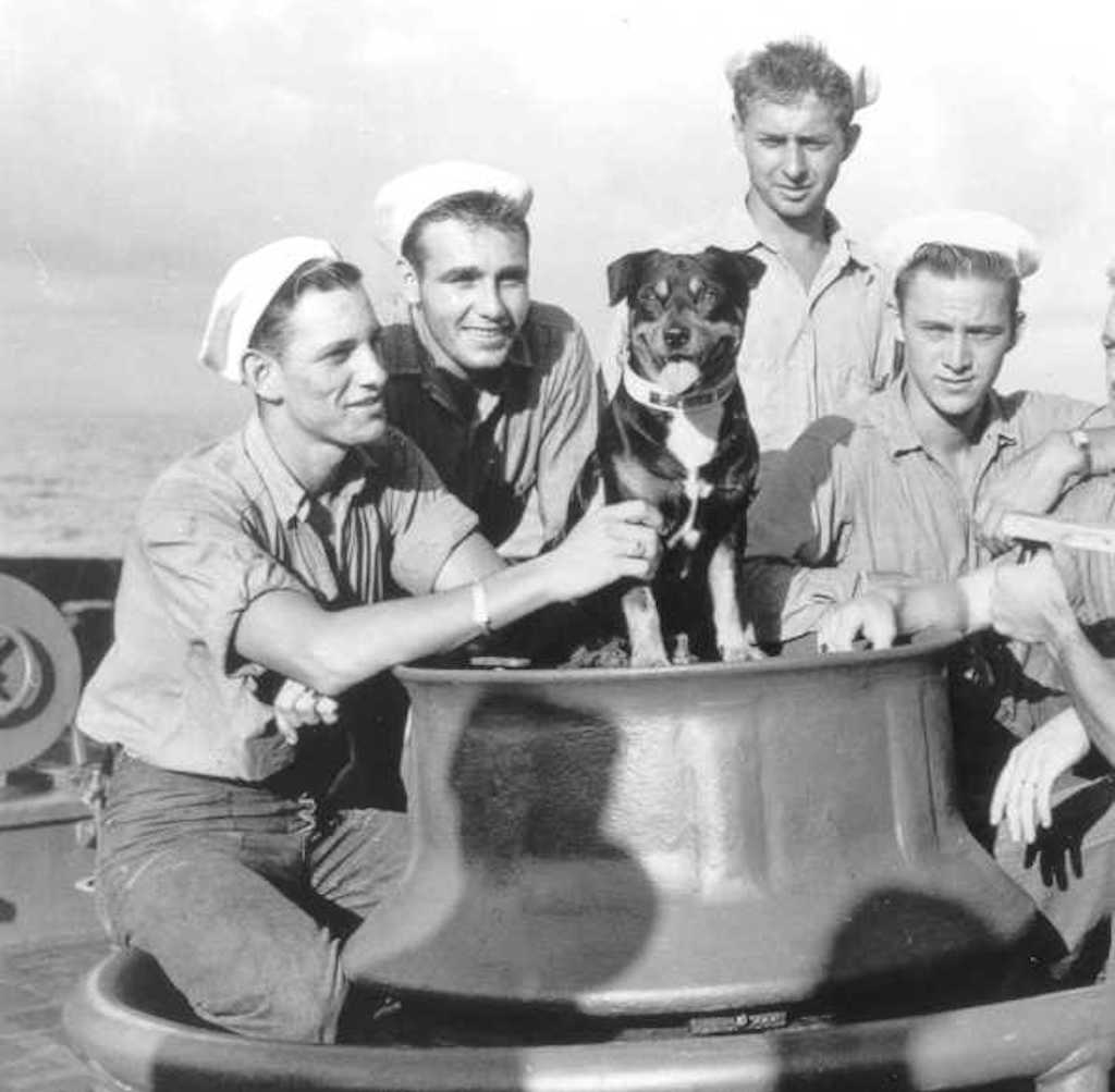 30 Most Important Dogs in American History — Best Life