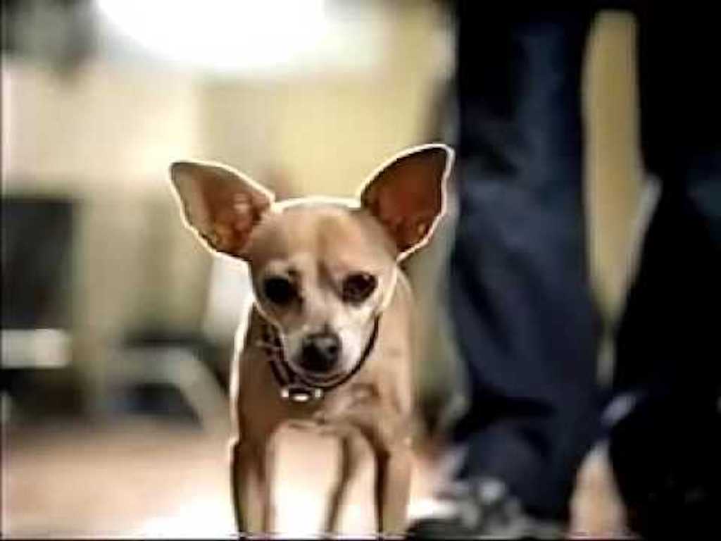 30 Most Important Dogs in American History — Best Life