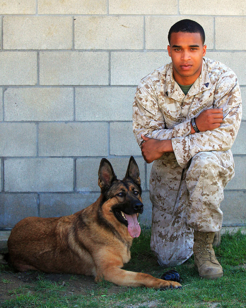 30 Most Important Dogs in American History — Best Life