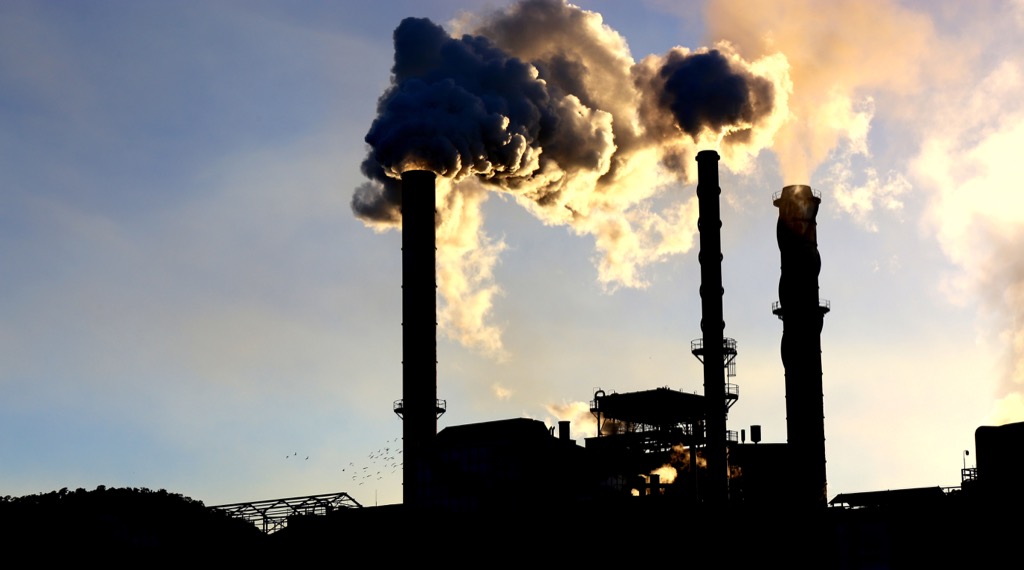 30 Questions You'd Need to Ace to Pass 6th Grade Science — Best Life