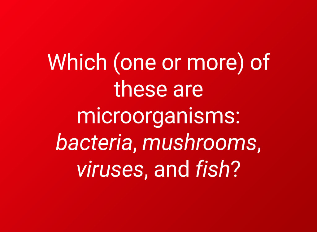 30 Questions You'd Need to Ace to Pass 6th Grade Science — Best Life