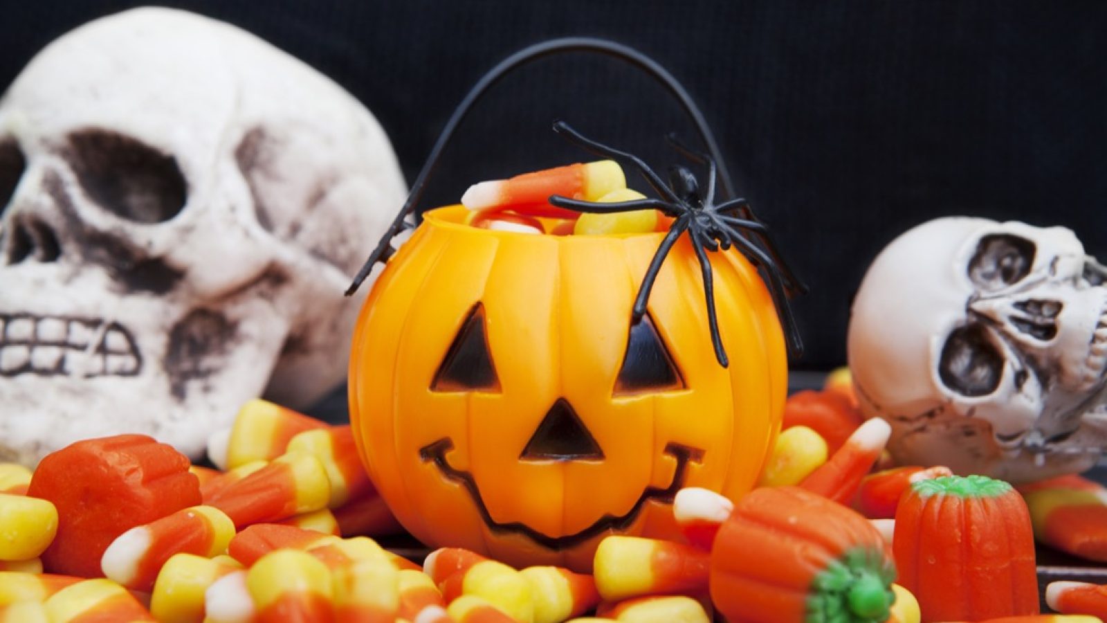 35 Funny Halloween Memes - Best Halloween Joke Images