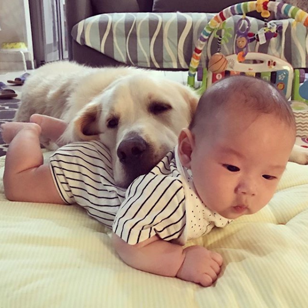 Cute Animal Photos: 30 Pics So Adorable You'll Literally Melt — Best Life