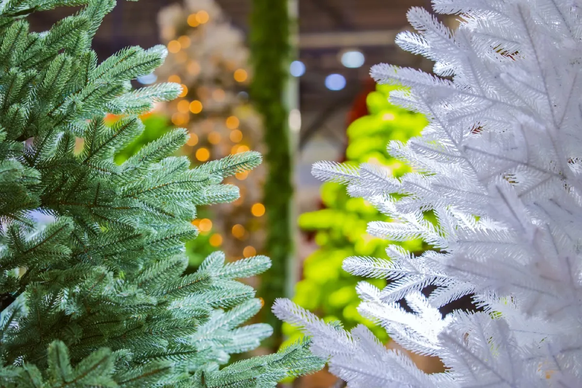30 Amazing Christmas Trees Facts to Make the Holidays Extra Magical