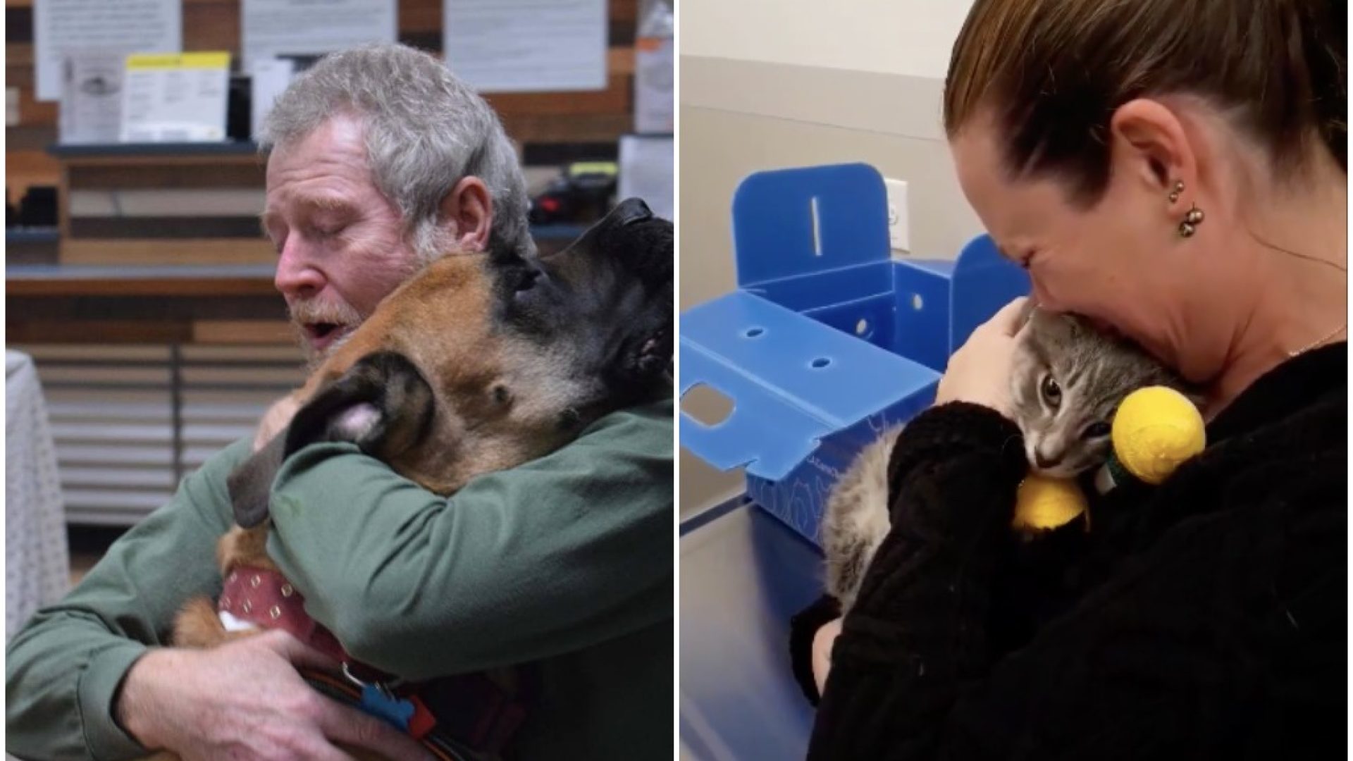 See Heartwarming Photos of Pets Reunited with Owners After California ...