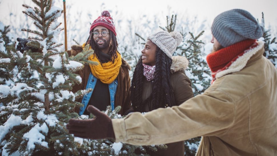 12 Things to Know Before You Buy a Christmas Tree, According to Sellers