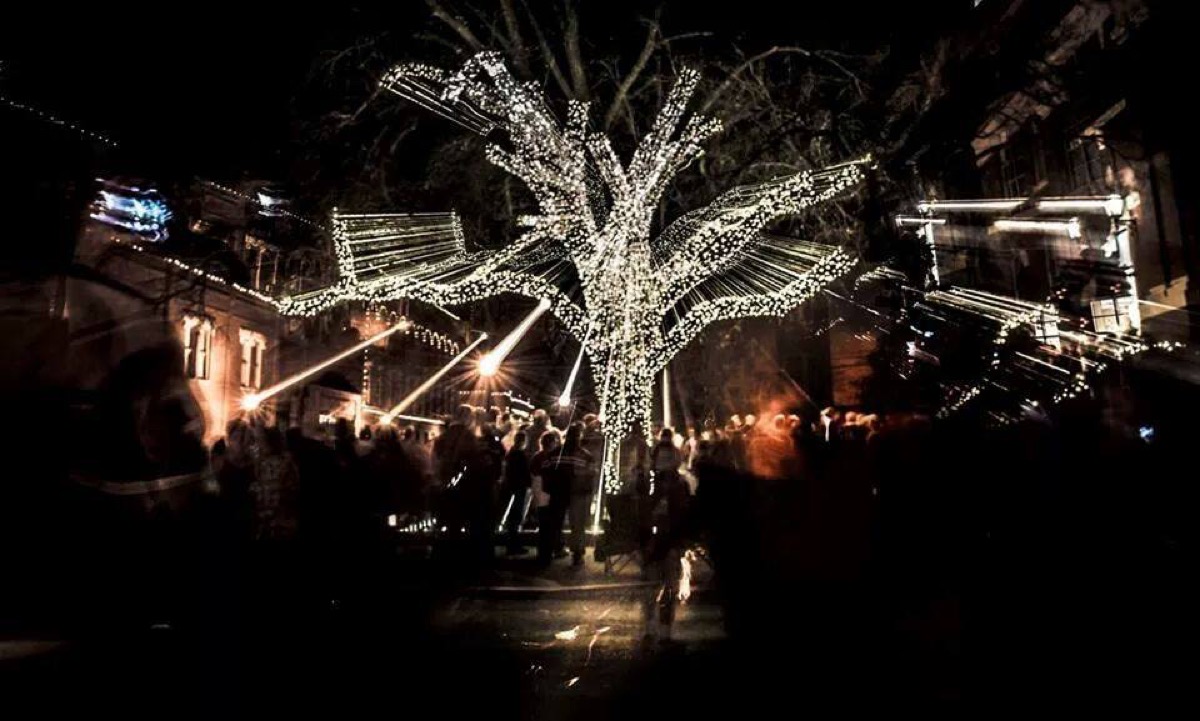 The Best Christmas Tree in Every State — Best Life