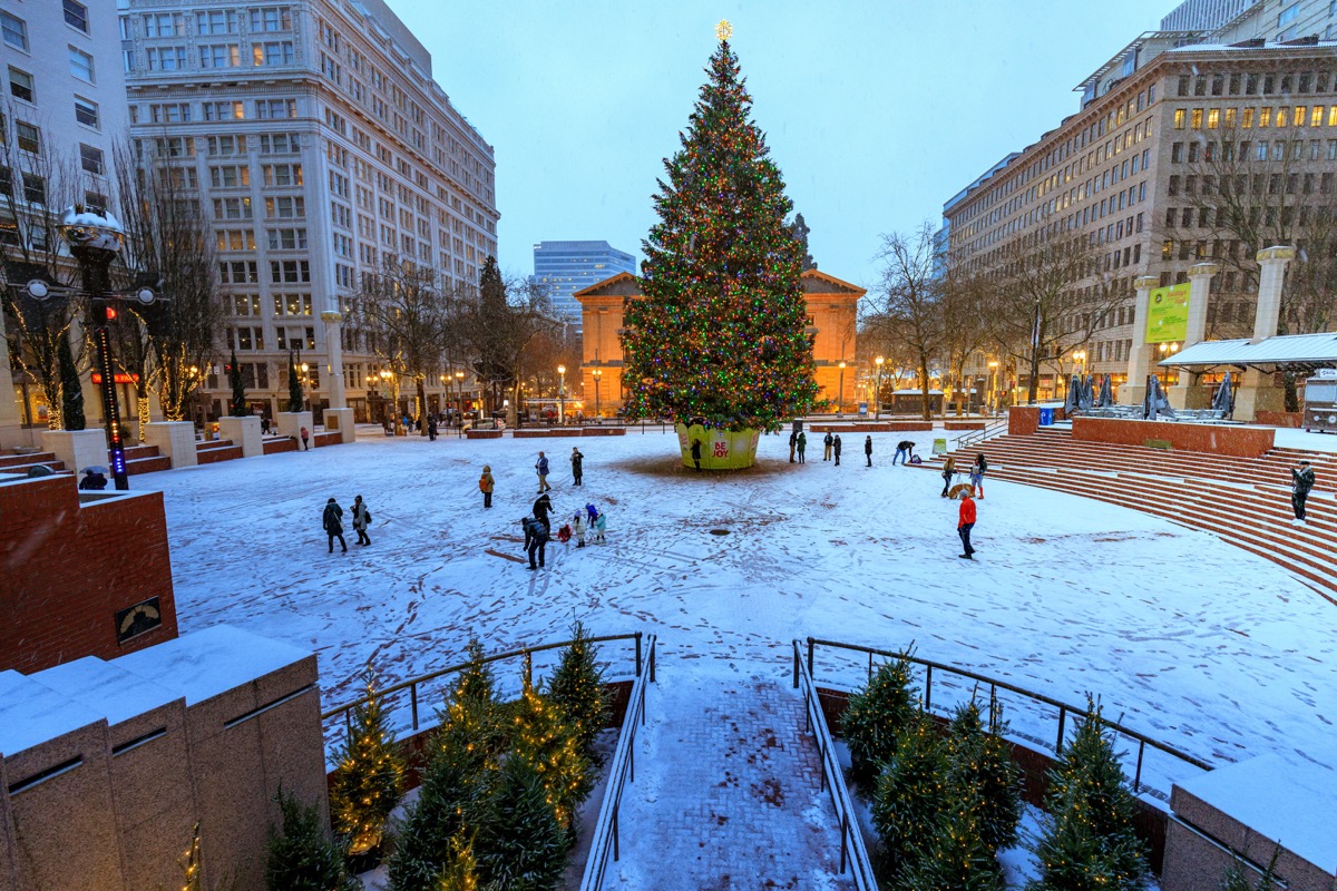 The Best Christmas Tree in Every State — Best Life