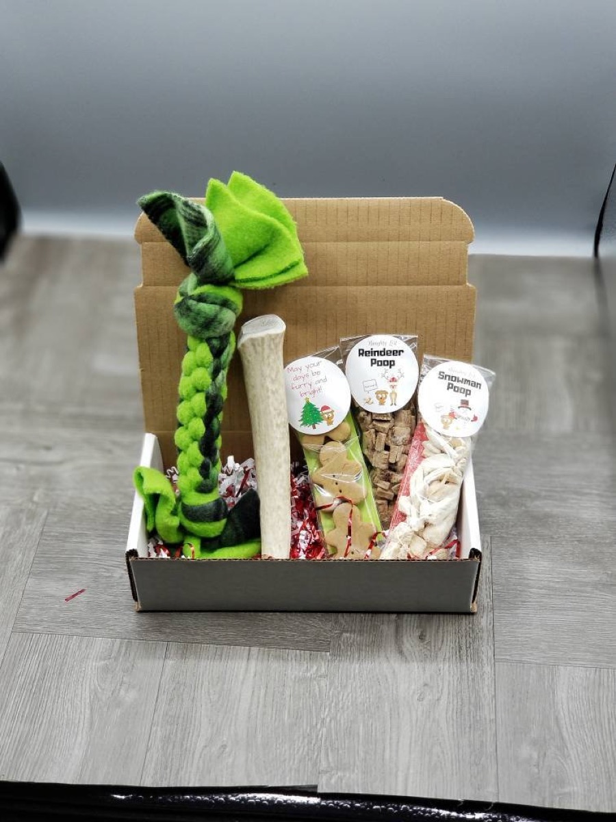 30 Insanely Adorable Holiday Gifts for Your Pet — Best Life