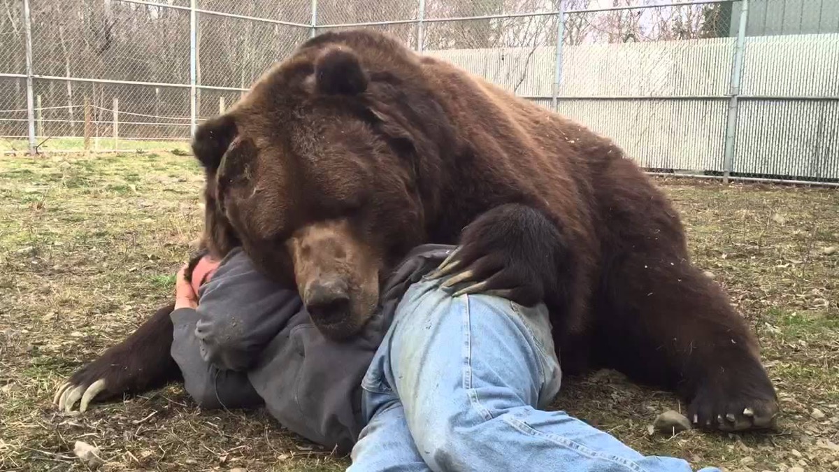 33 Times Animals Made Our Day in 2018 — Best Life