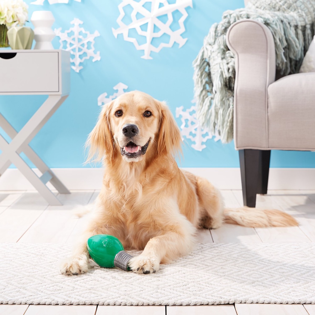 30 Insanely Adorable Holiday Gifts for Your Pet — Best Life