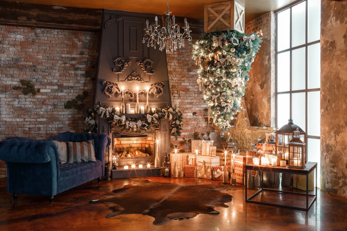 30 Amazing Christmas Trees Facts to Make the Holidays Extra Magical