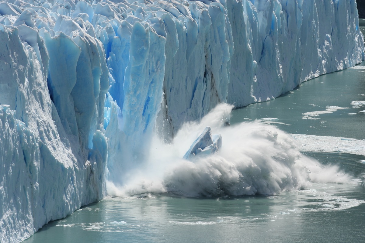100 Facts So Crazy You Won't Believe They're Actually True — Best ...
