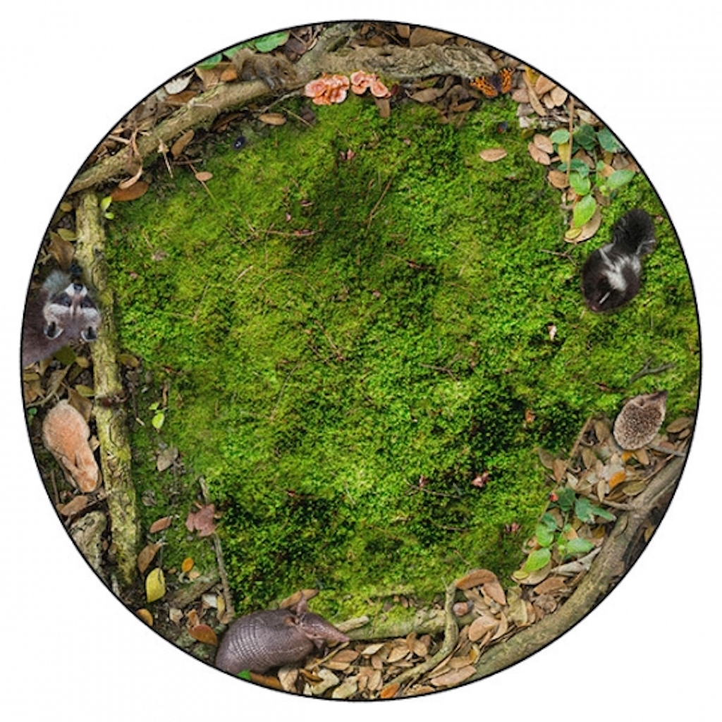 17 Carpets So Ugly They'll Give You Vertigo — Best Life