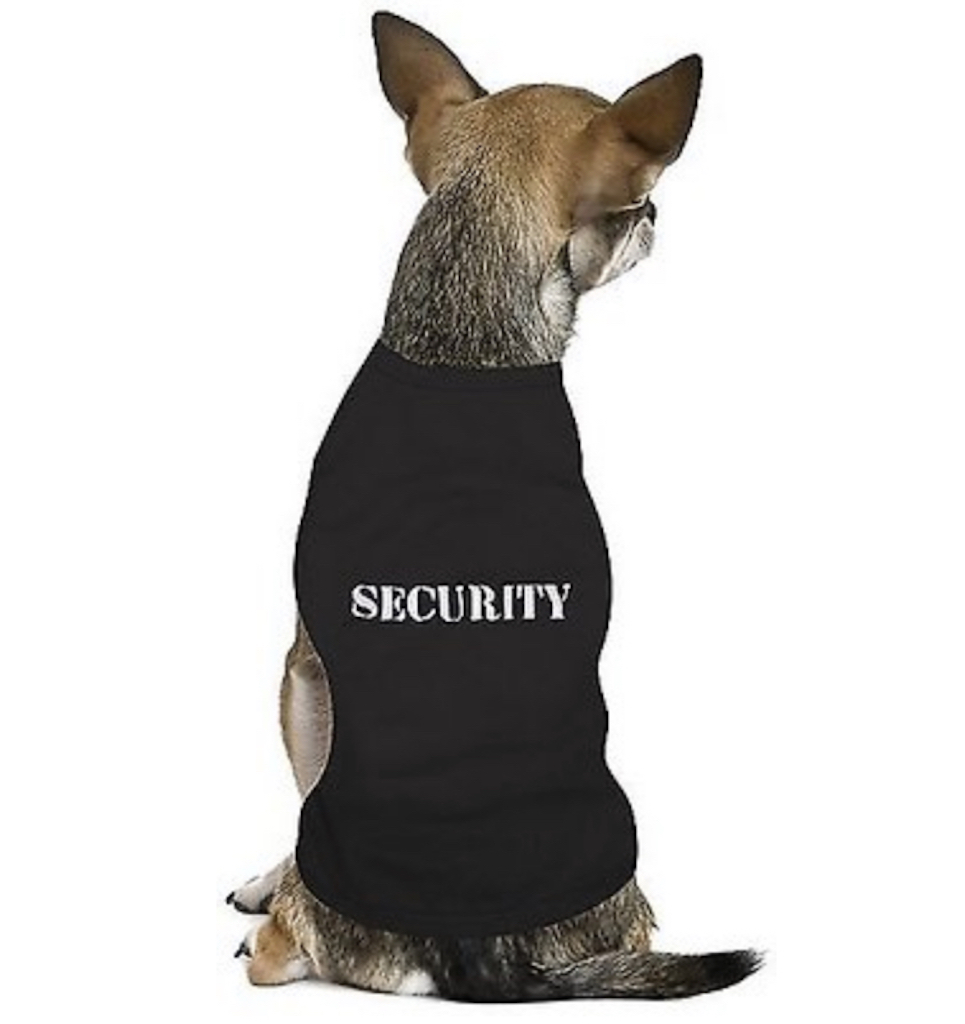 33 Most Adorable Dog Outfits You Can Buy Now — Best Life