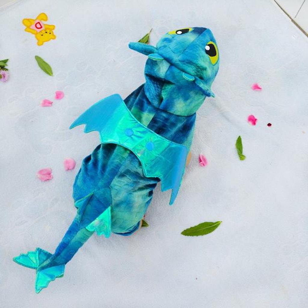 33 Most Adorable Dog Outfits You Can Buy Now — Best Life