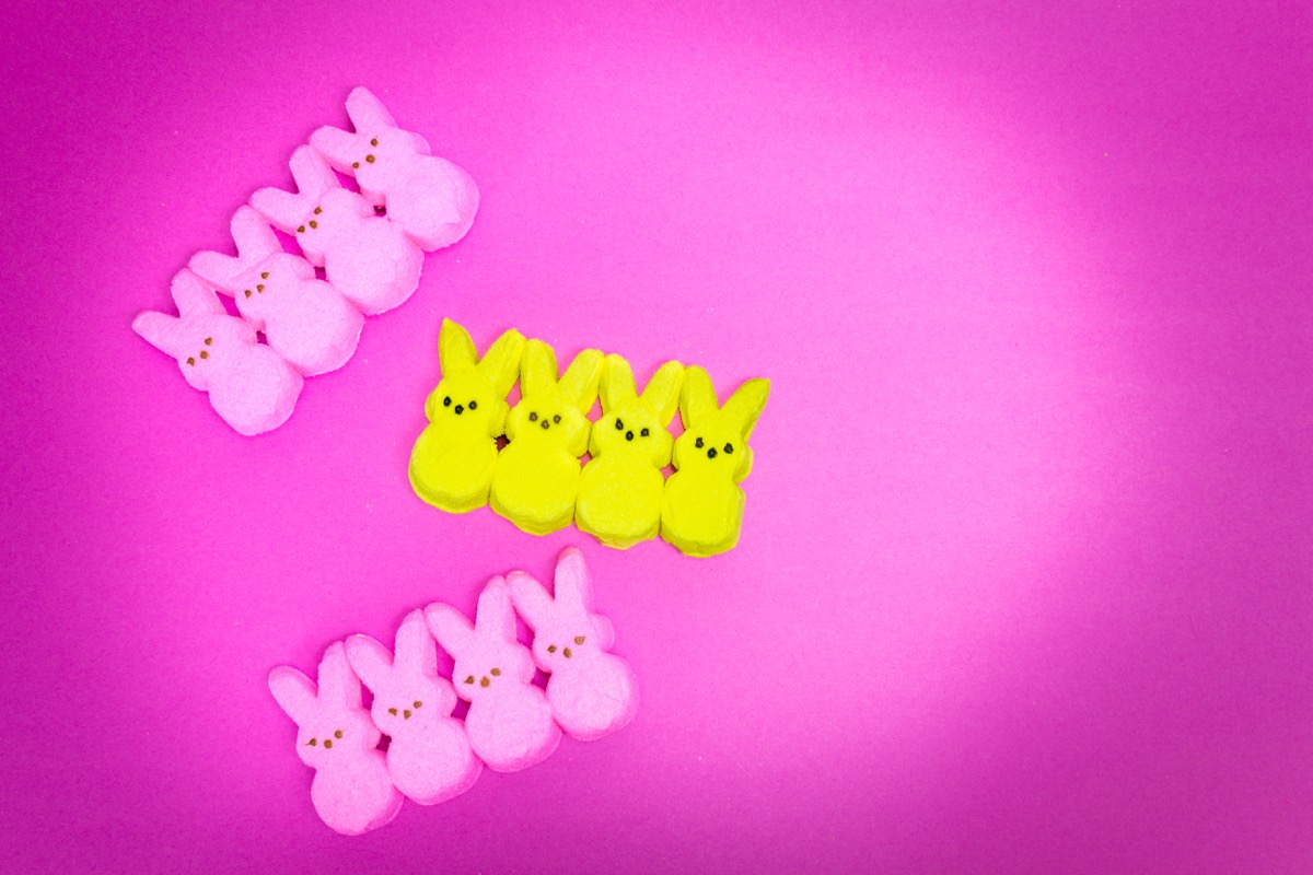 22 Easter Games For the Whole Family - Fun Easter Games