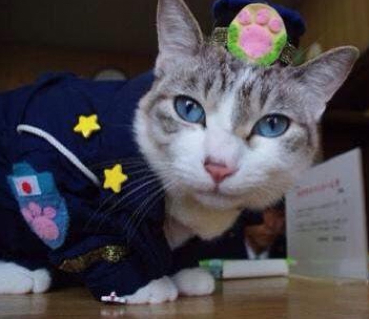 20 Adorable Animals That Are Also Police Crime Fighters — Best Life