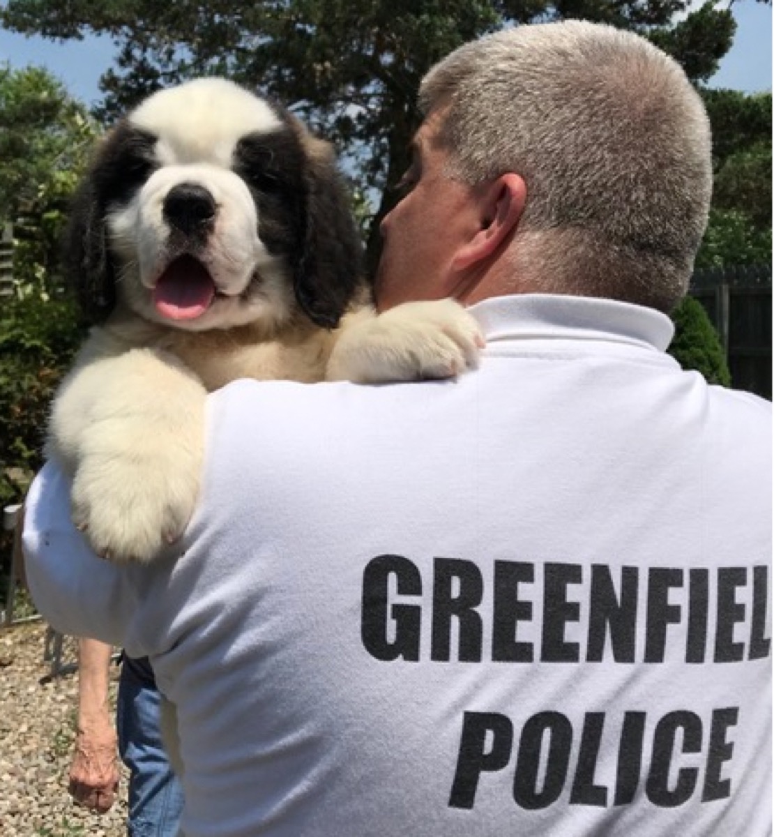 20 Adorable Animals That Are Also Police Crime Fighters — Best Life