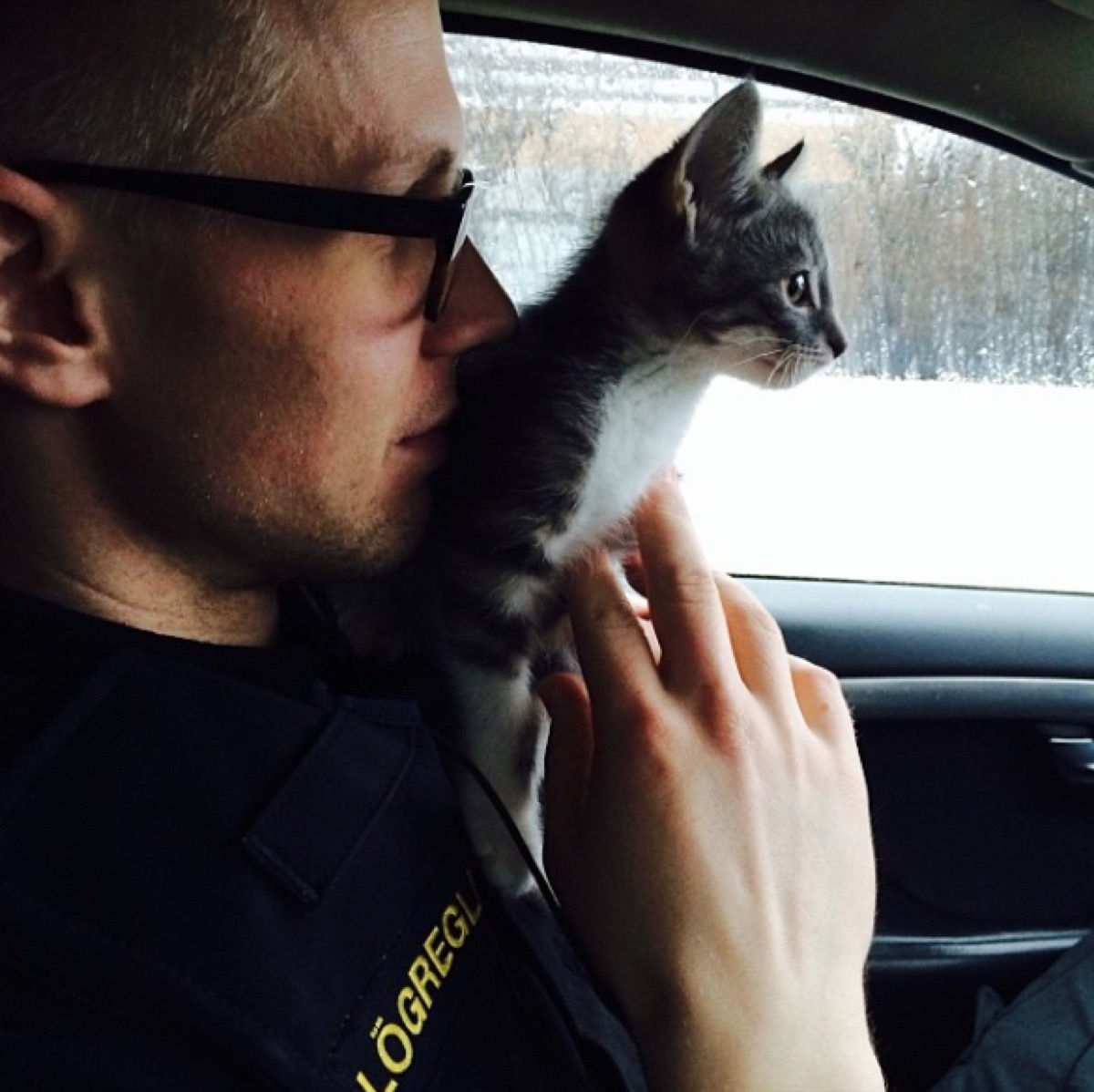 20 Adorable Animals That Are Also Police Crime Fighters — Best Life
